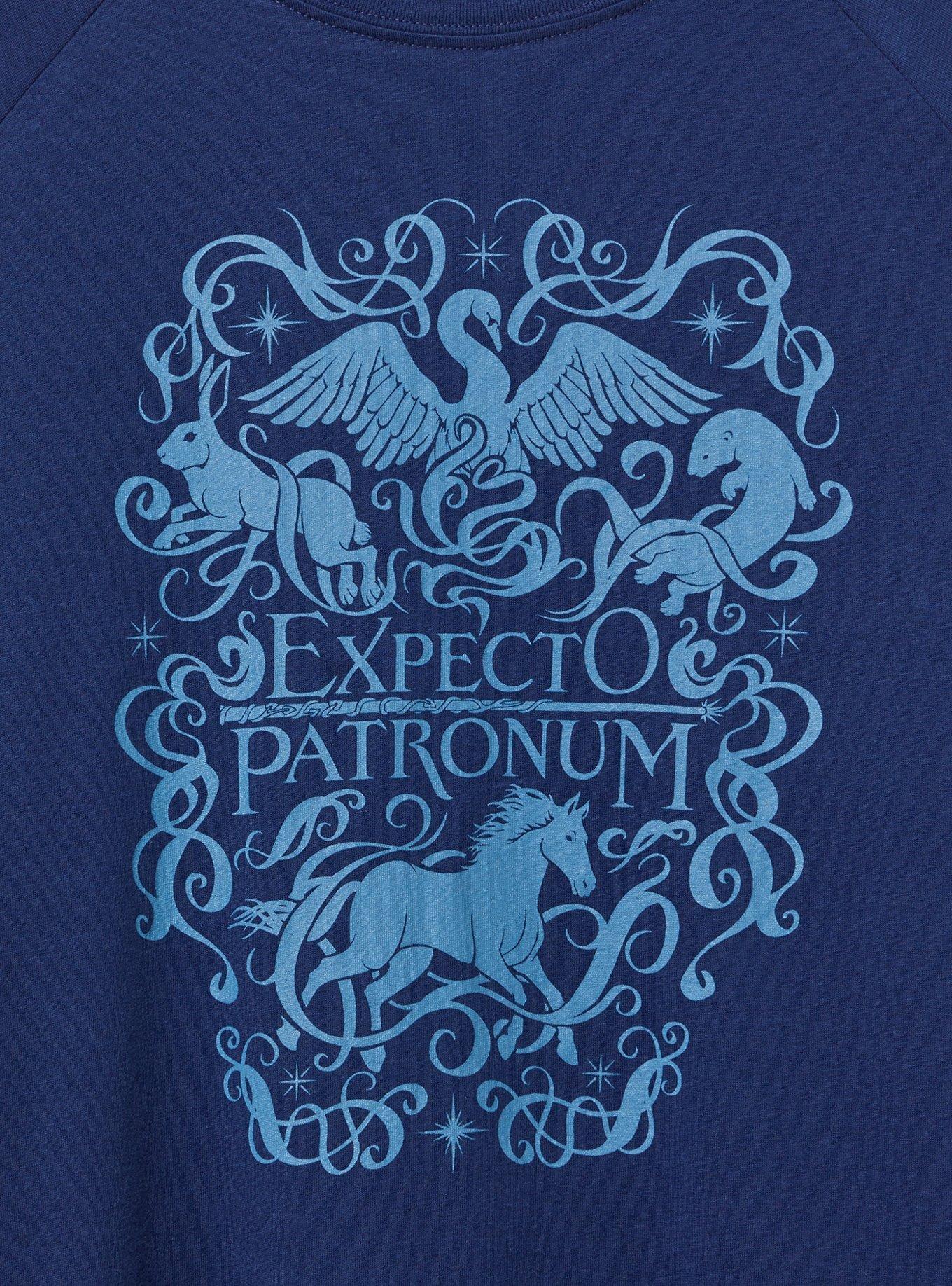 Plus Size - Harry Potter Classic Fit Cotton Long Sleeve Raglan Ringer ...